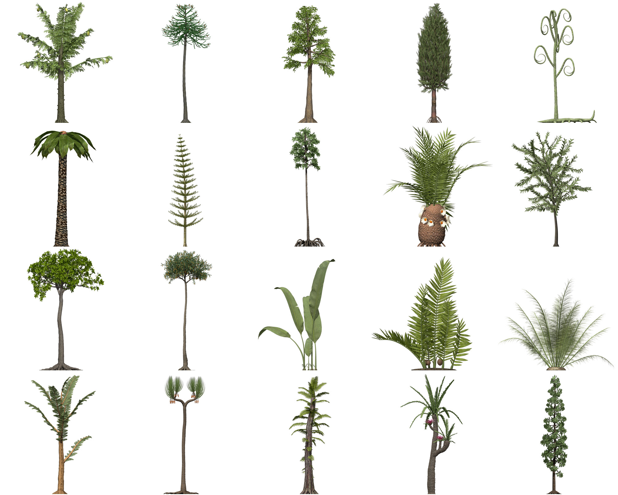 prehistoric trees plants xfrogplants obj