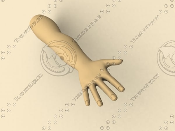 free human male hand 3d model