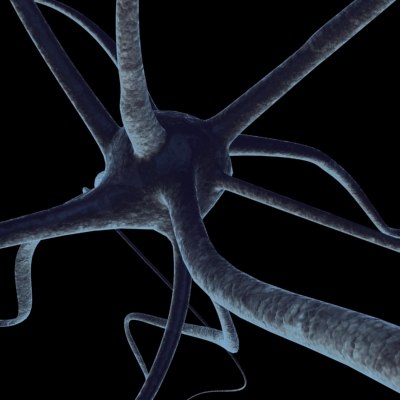 neuron cell 3d model