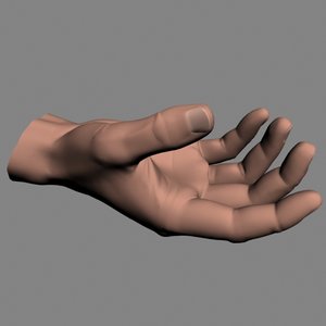 Free Low Poly Hand 3D Models for Download | TurboSquid