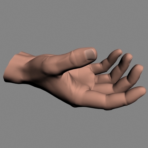 male hand 3d model