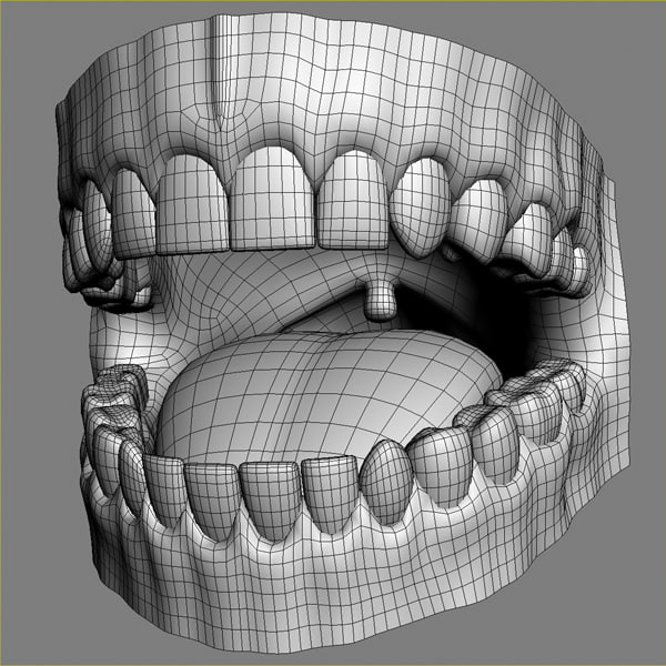3d gums tongue model