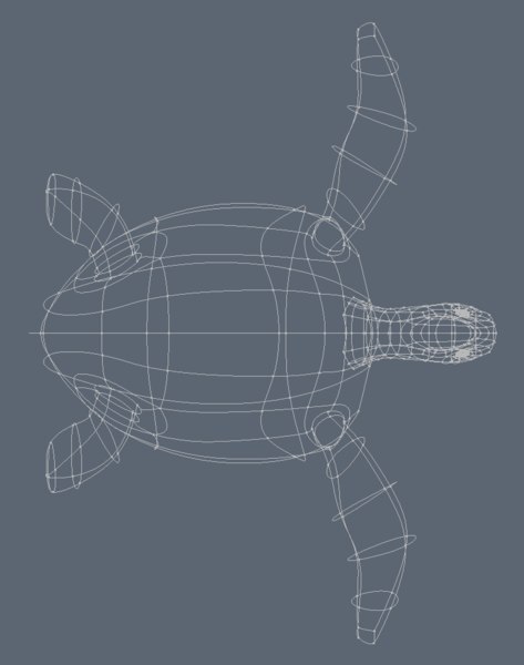 3d sea turtle