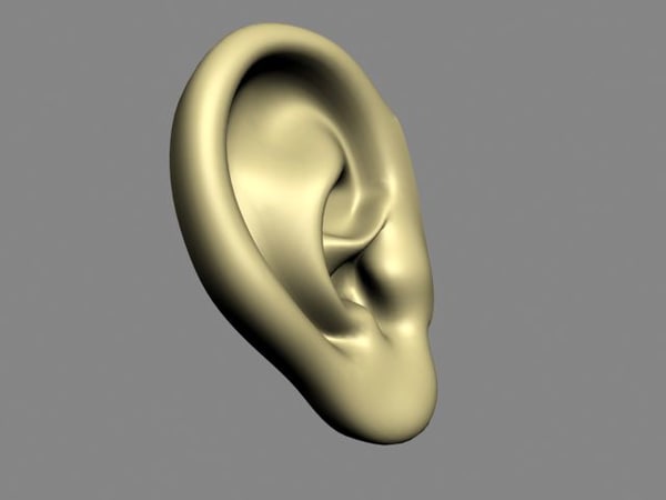 free ear head 3d model