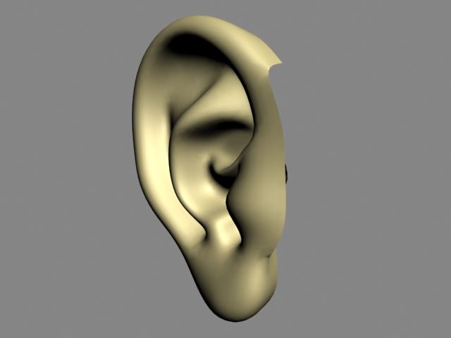 free ear head 3d model