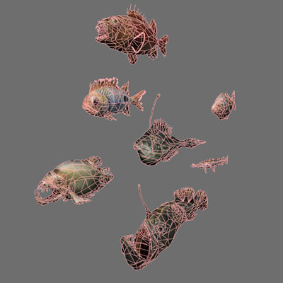 school fish games 3d max