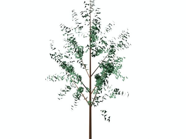 3d model of trees