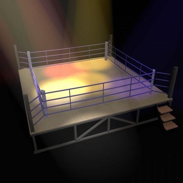 3d ring boxing model