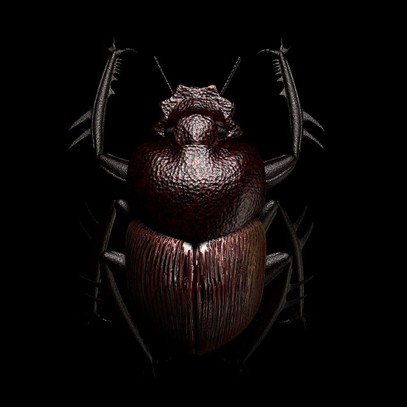 c4d scarabaeus included