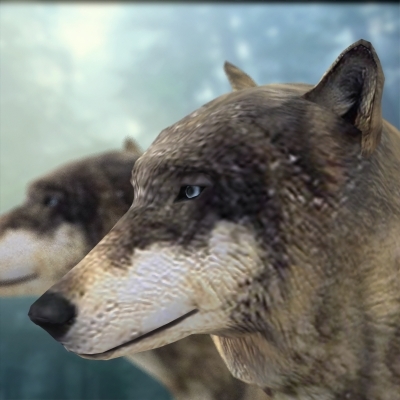 3d realistic low-poly wolf model