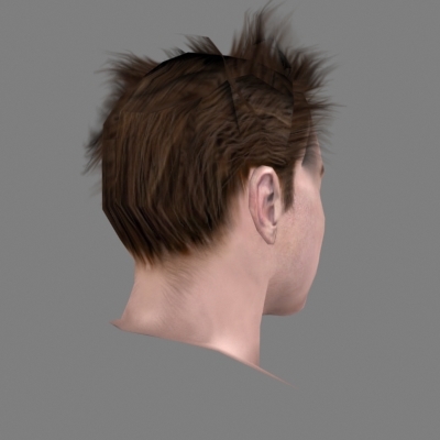 male human head face 3d max