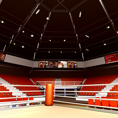 3ds max boxing arena