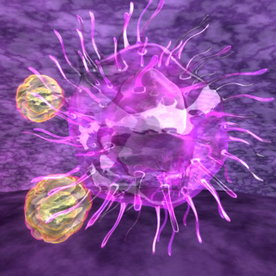 3d t cell microphage