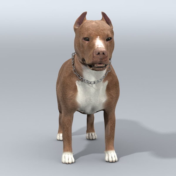 3d model pitbull pit bull
