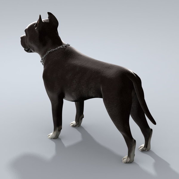 3d model pitbull pit bull