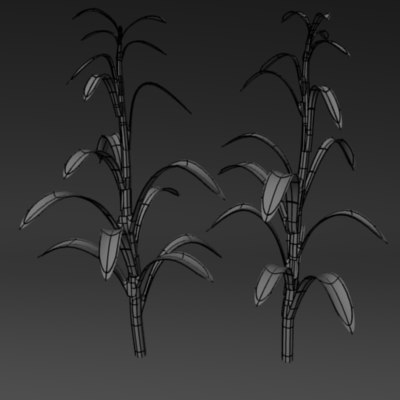 3d corn stalk