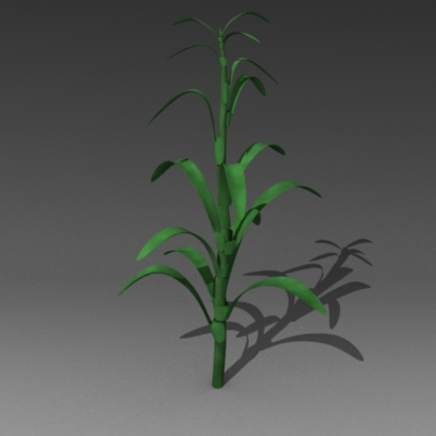 3d corn stalk
