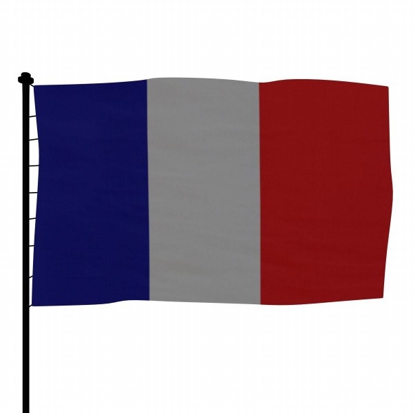 3d french flag