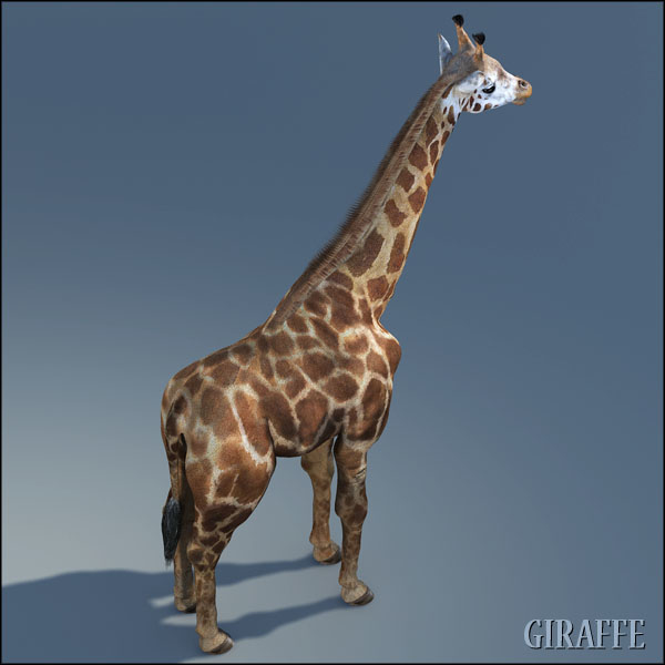 3d model realistic giraffe