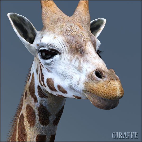 3d model realistic giraffe