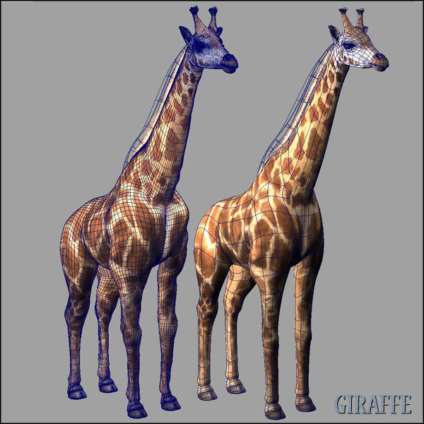 3d model realistic giraffe