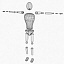 3d rigged biped model