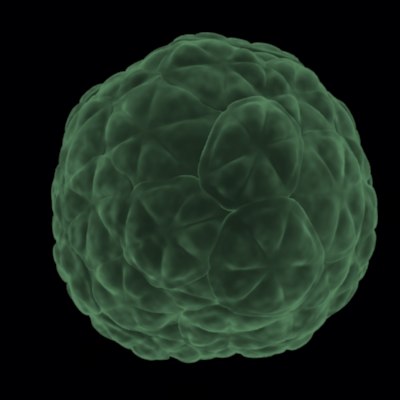 3d cells molecule model