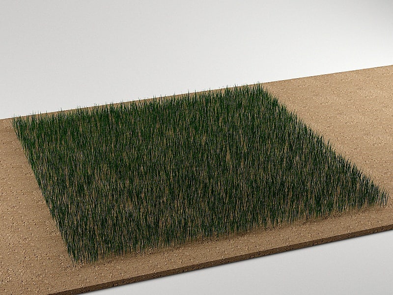 grass outdoor modelled 3d model