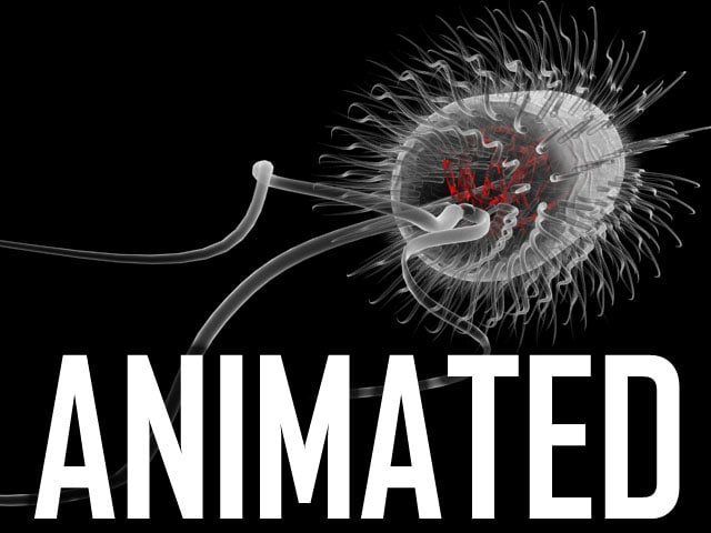 3d model of e coli bacteria cell
