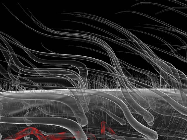 3d model of e coli bacteria cell