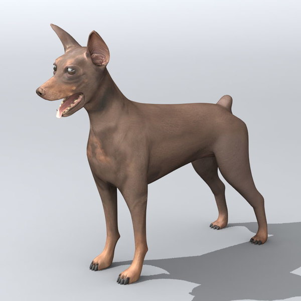 3d extensive dog model