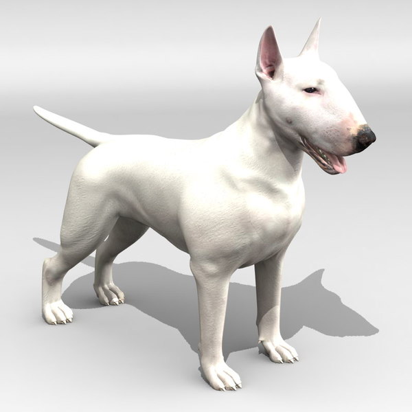 3d extensive dog model