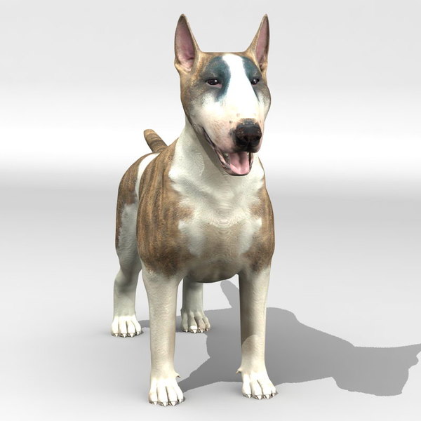 3d extensive dog model