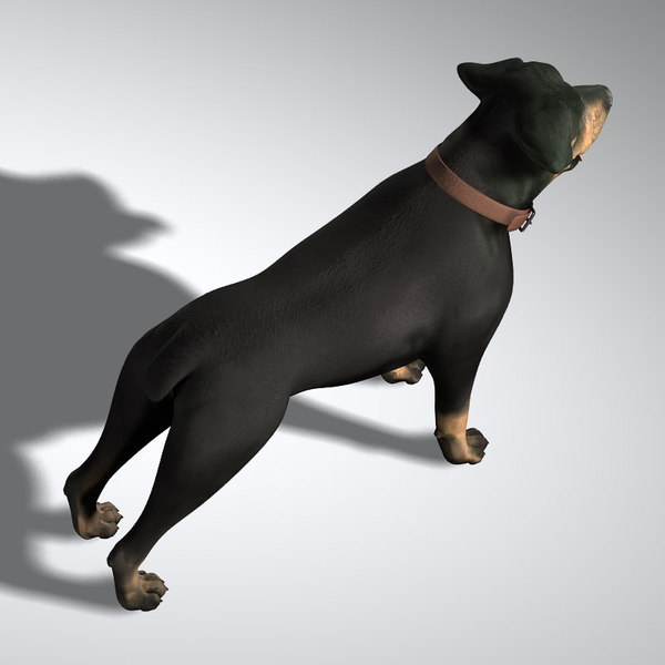 3d extensive dog model