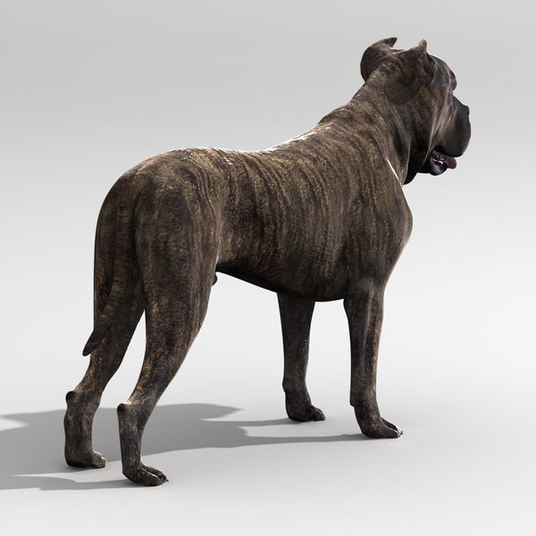 3d extensive dog model