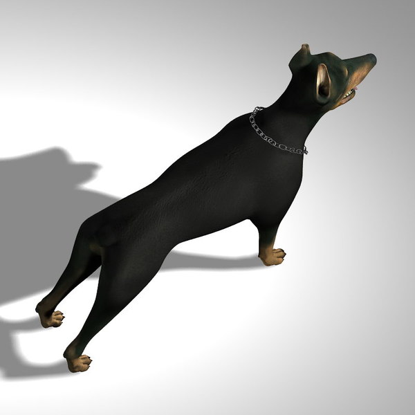3d extensive dog model