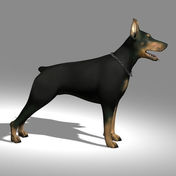 3d extensive dog model