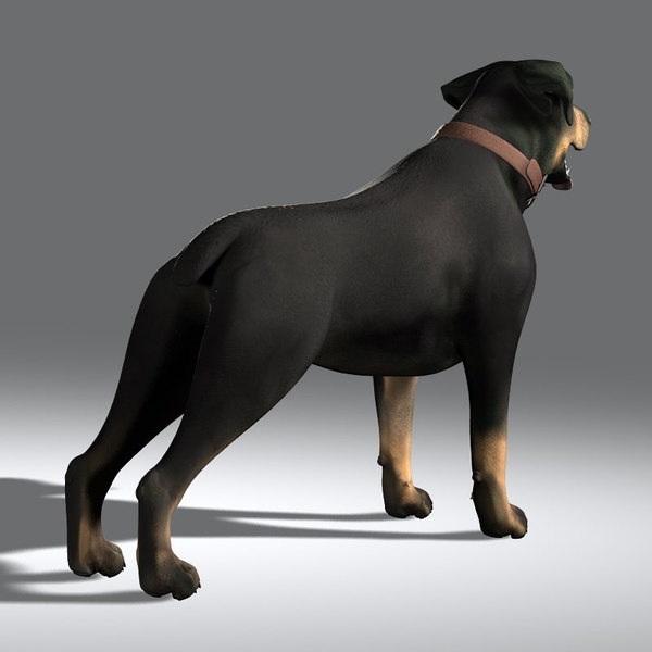 3d extensive dog model