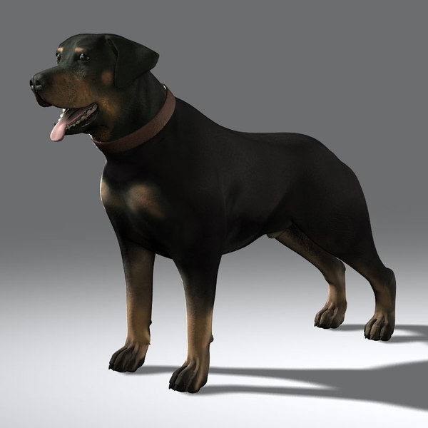 3d extensive dog model