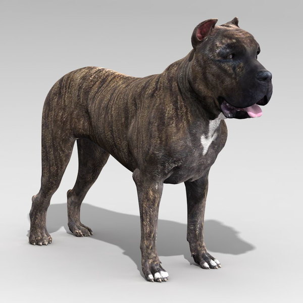 3d extensive dog model