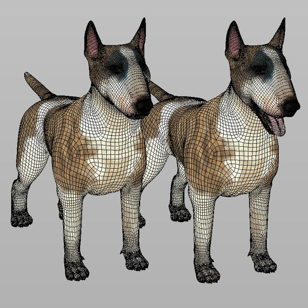 3d extensive dog model