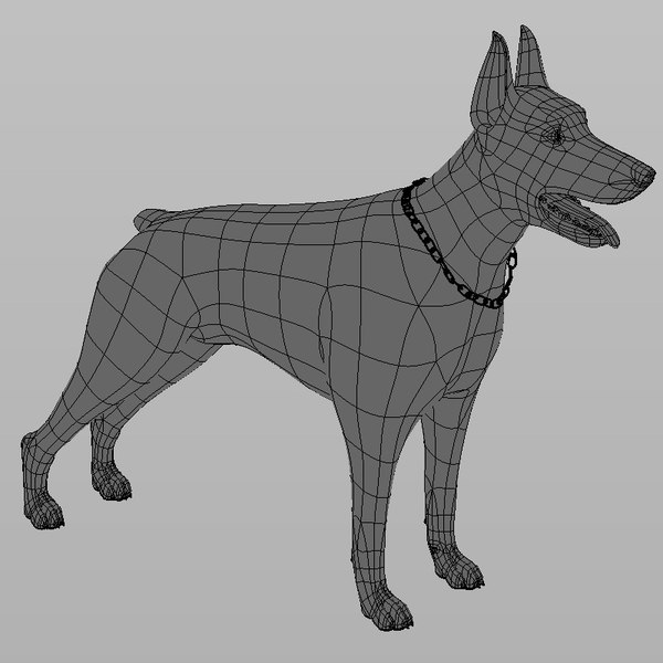 3d extensive dog model