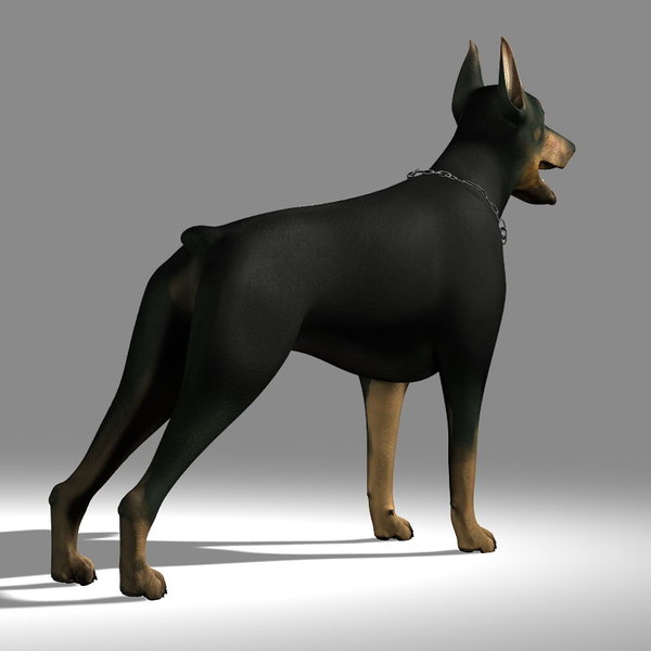 3d extensive dog model