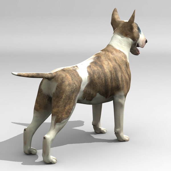 3d extensive dog model