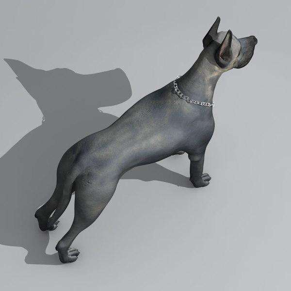 3d extensive dog model