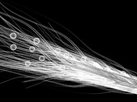 3d cancerous cell model