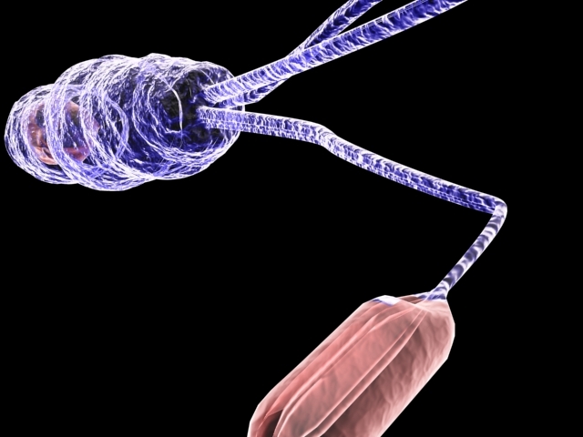 3d flagellate bacteria