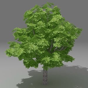3D модель Tree12 - TurboSquid 362426