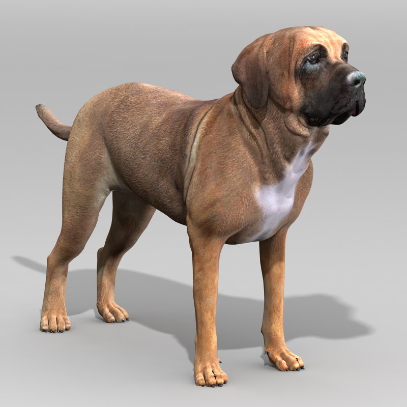 3ds max tosa inu