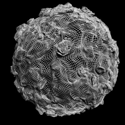 3d polio virus model